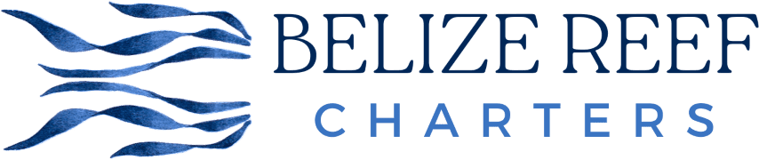 Your Complete Guide to Belize Fishing Calendar